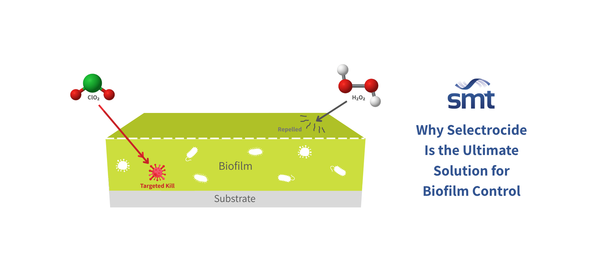 Break the Biofilm Barrier with Selectrocide Chlorine Dioxide ...