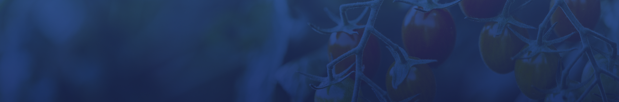 Agriculture – Selective Micro Technologies