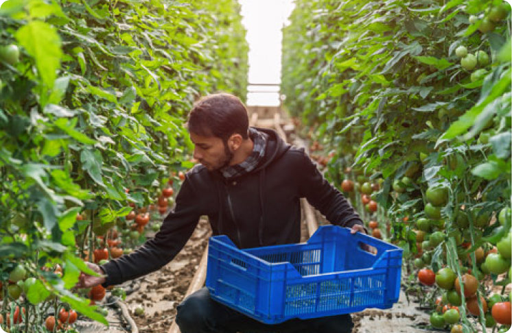 Agriculture – Selective Micro Technologies